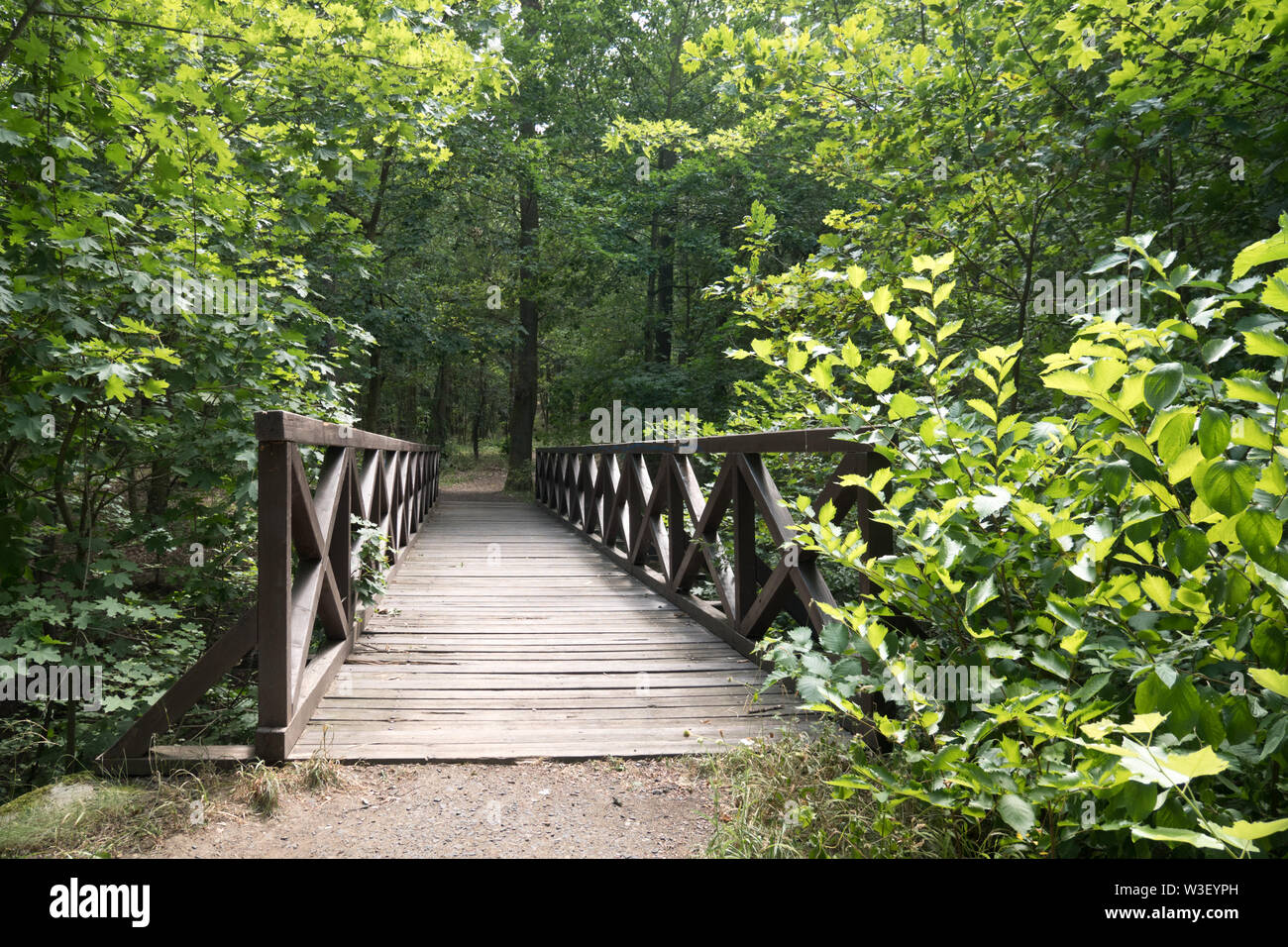 Old bridge over brook in forest hi-res stock photography and images - Alamy