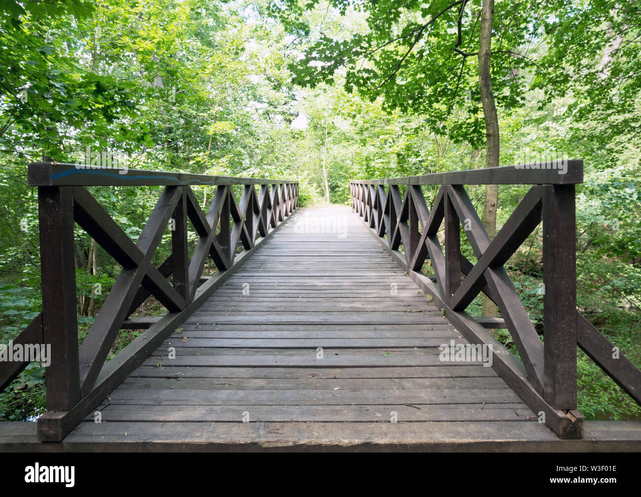 Old bridge over brook in forest hi-res stock photography and images - Alamy