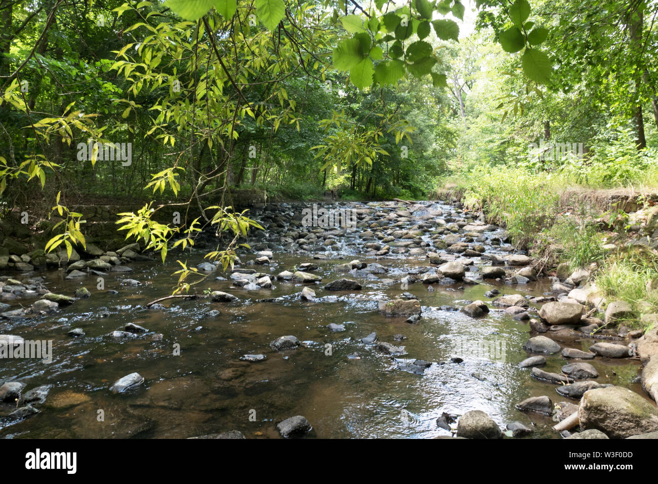 A stone weir in the forest Stock Photo - Alamy