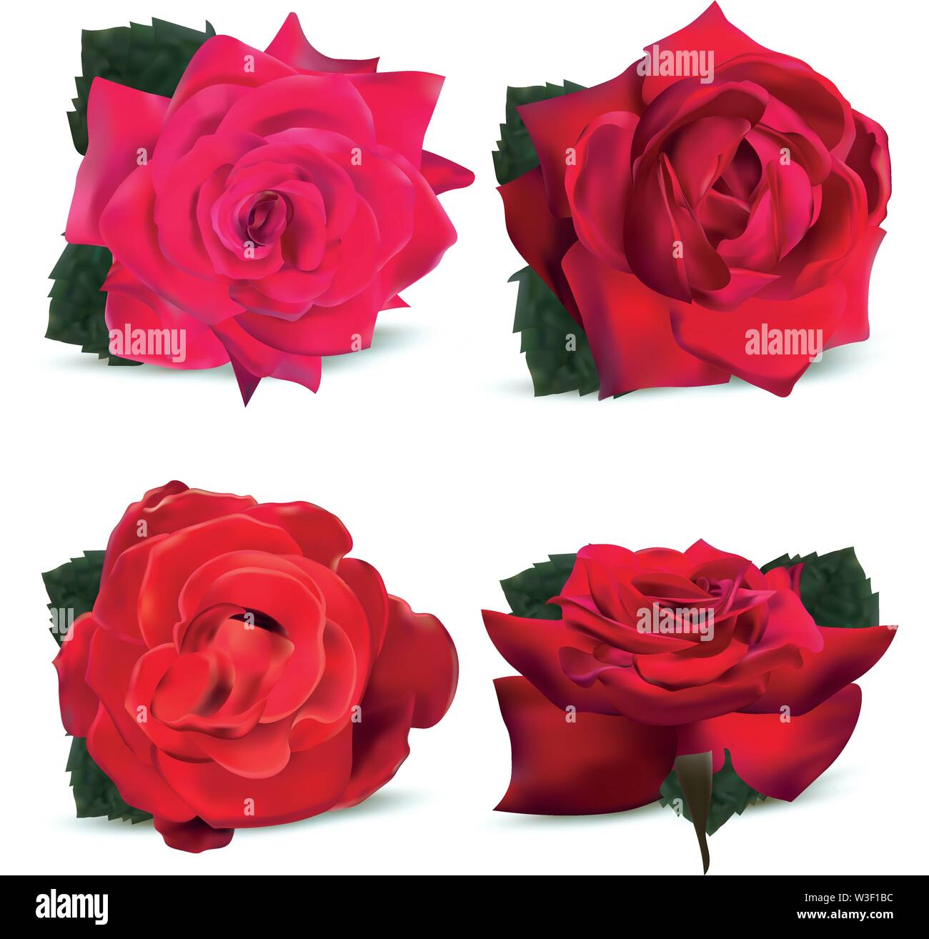 Collection red roses on white background. Icon roses. 3d realistic ...