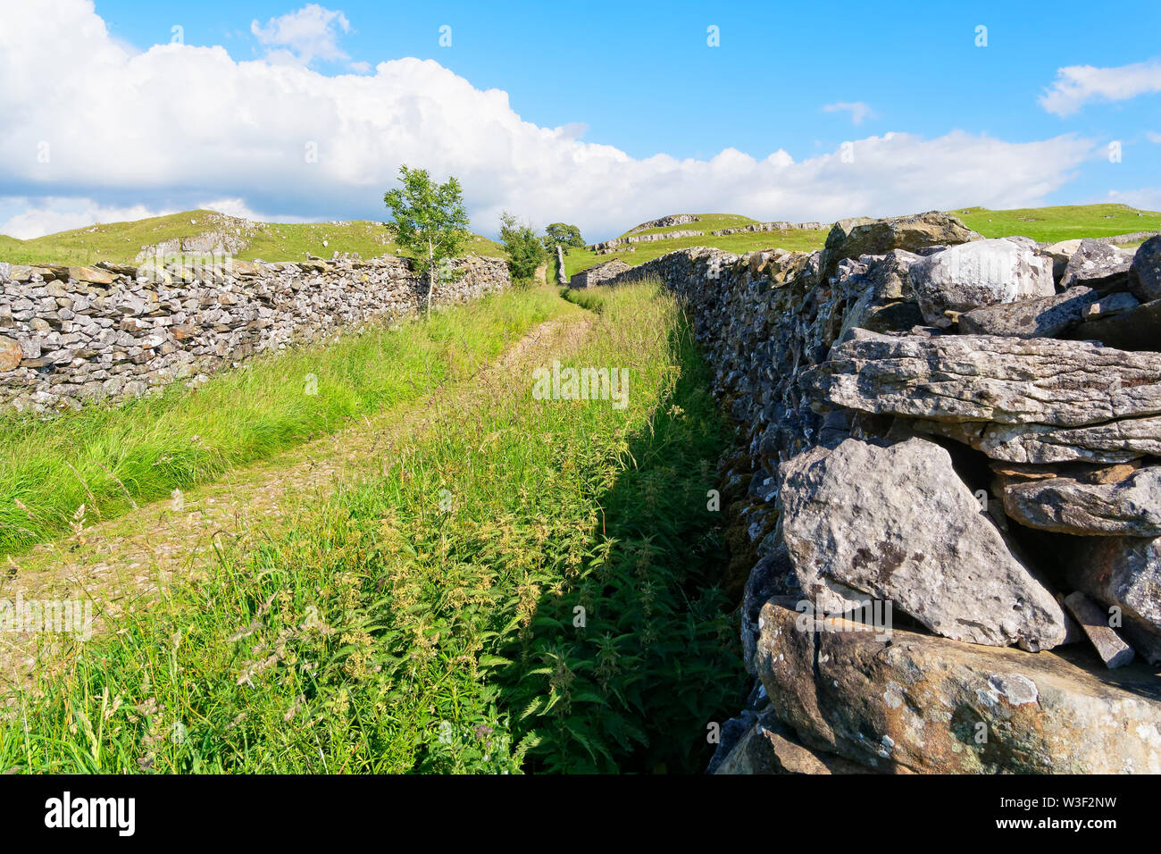 Following the Pennine Bridle Way over the Yorkshire Dales on a summer ...