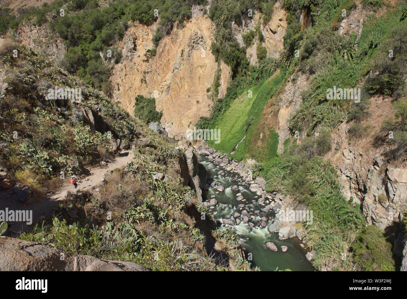 The Colca River running through the immense Colca Canyon, Peru Stock ...