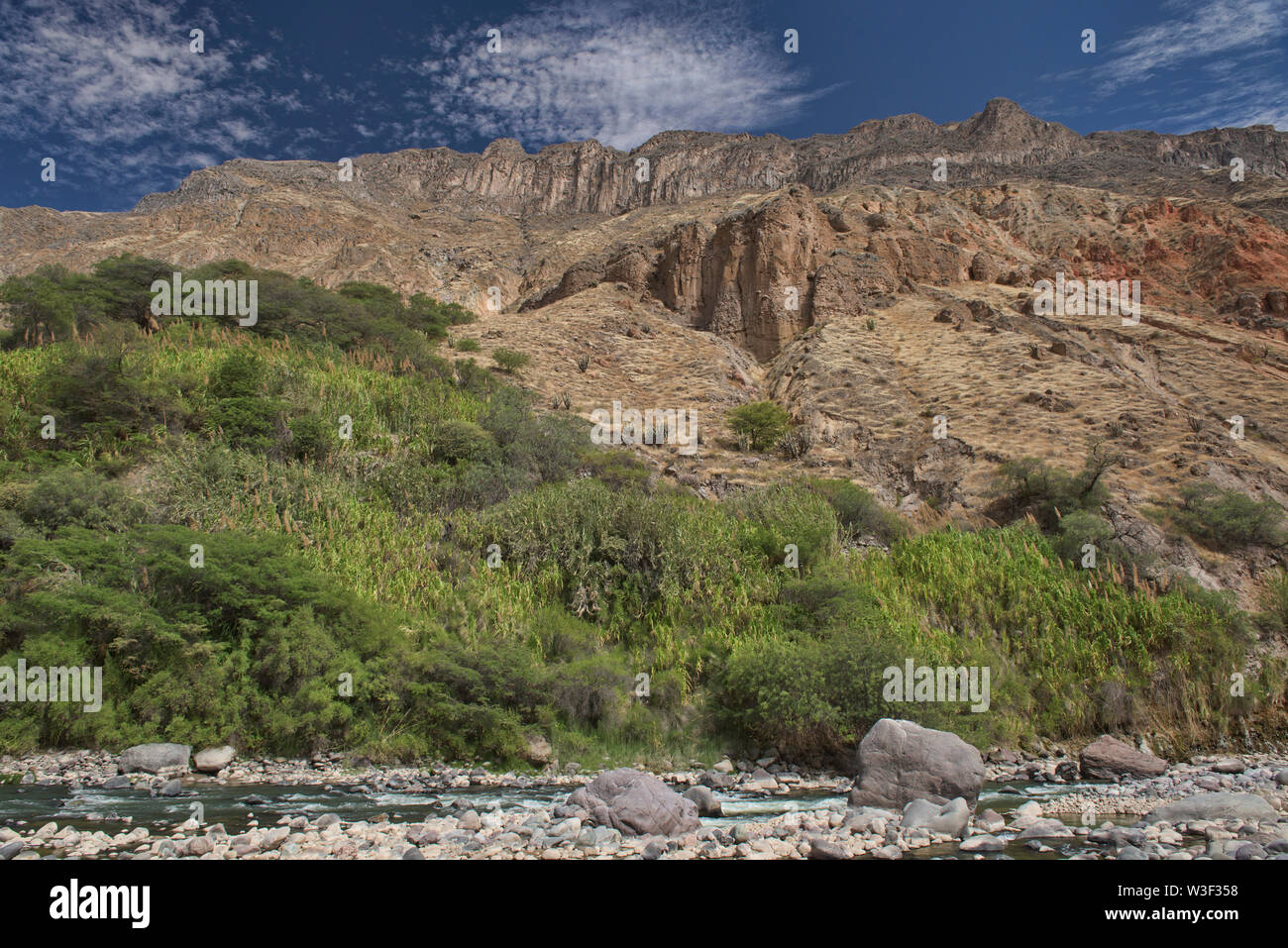The Colca River running through the immense Colca Canyon, Peru Stock ...