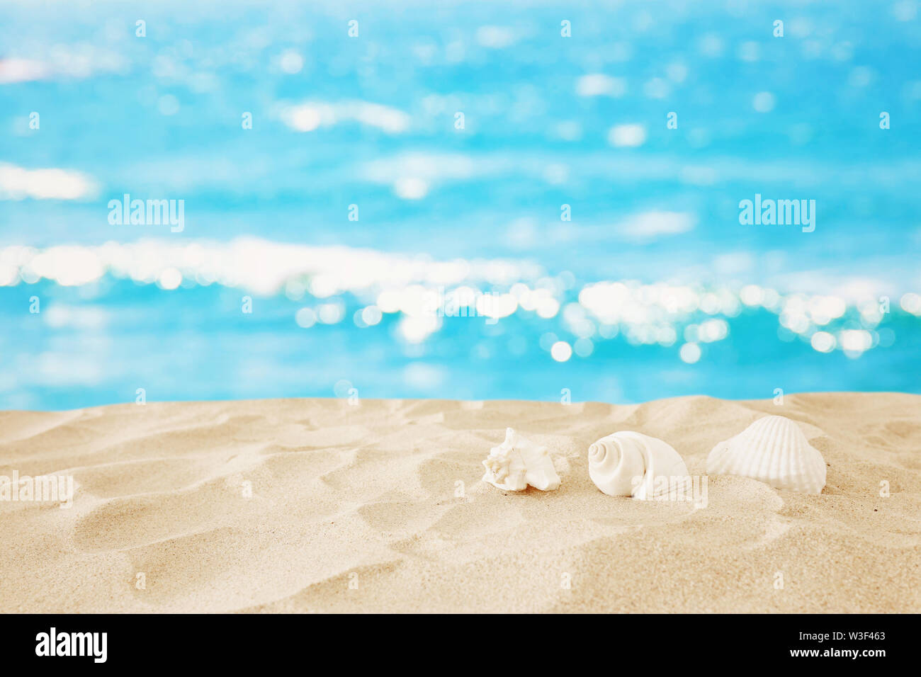 Empty sand beach and shells in front of summer sea background with copy ...