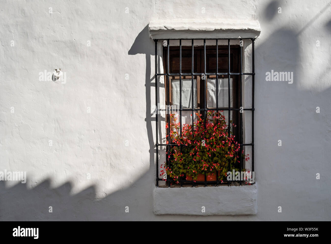 White wall and grate of a window with flowers, white village of Mijas ...