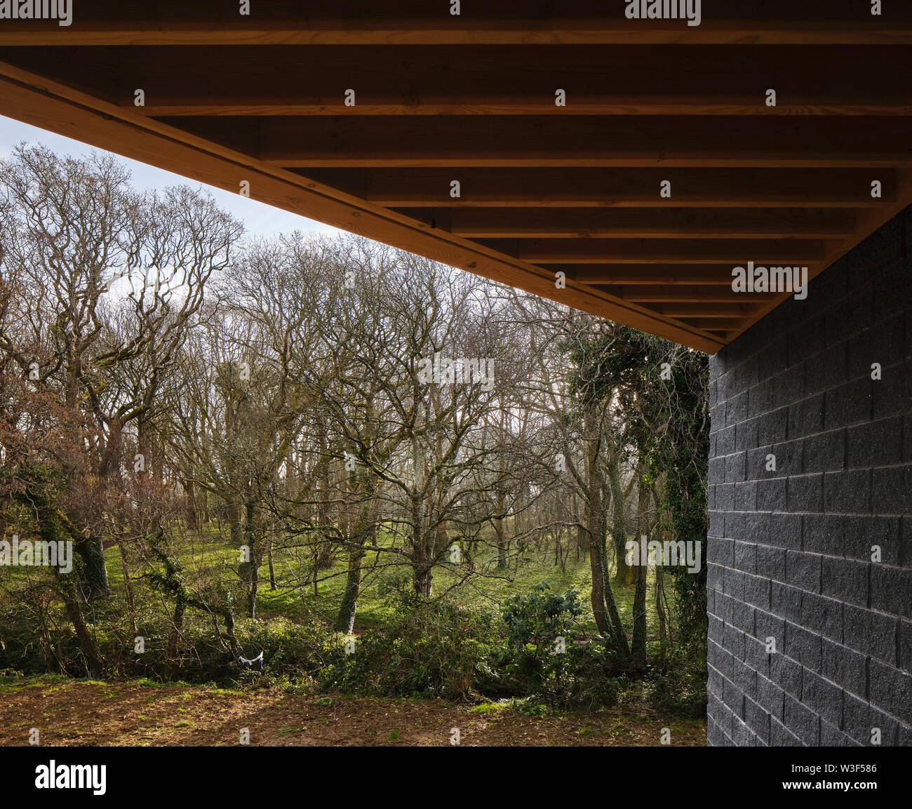 Timber canopy hi-res stock photography and images - Alamy
