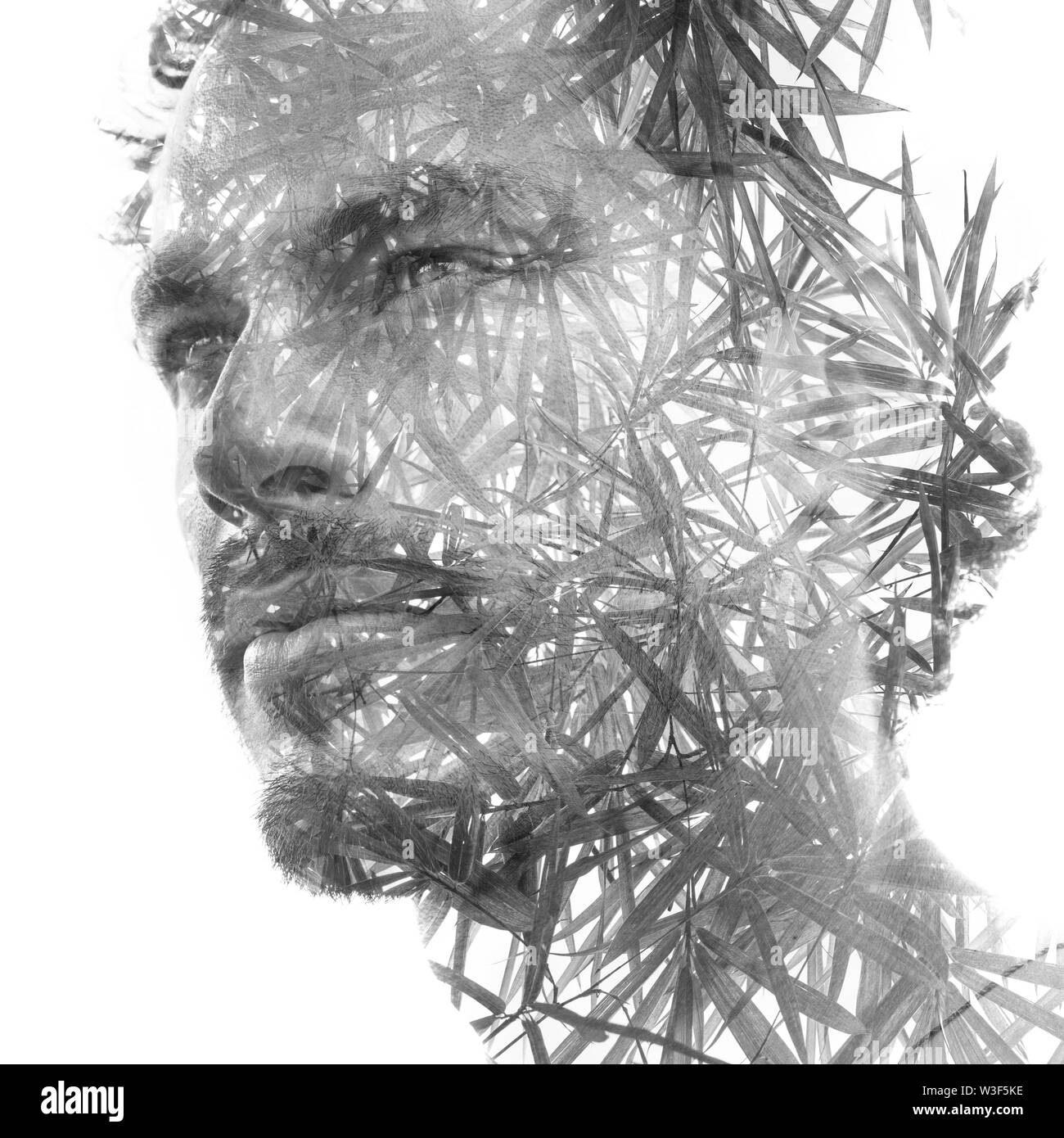 Ecological Art High Resolution Stock Photography and Images - Alamy