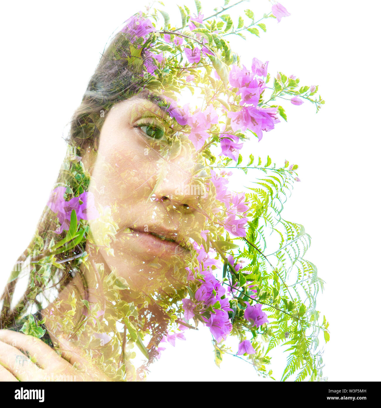 Person showcasing art hi-res stock photography and images - Alamy