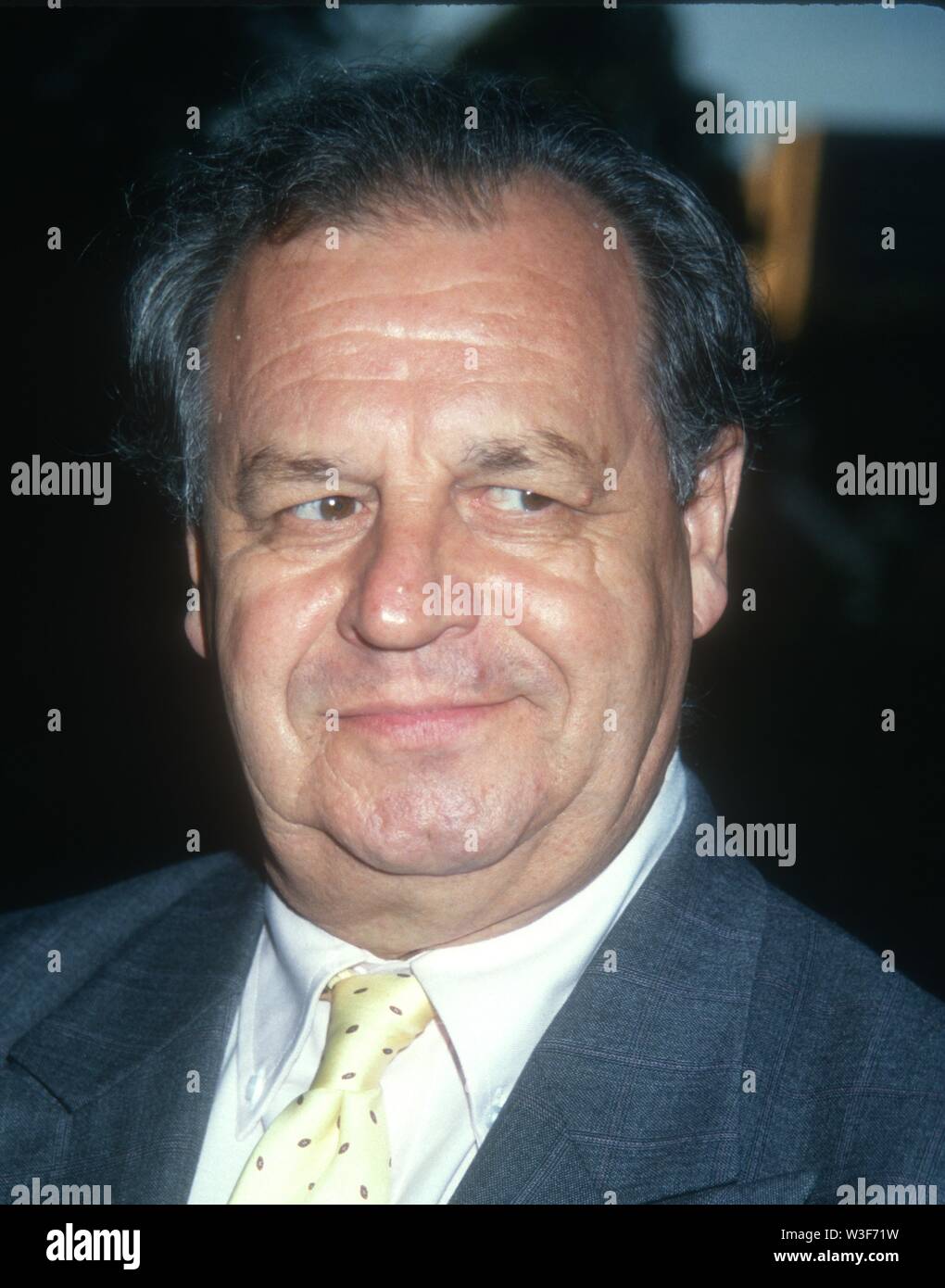 Paul Dooley1994 Photo By Michael FergusonPhotoLink/MediaPunch Stock ...
