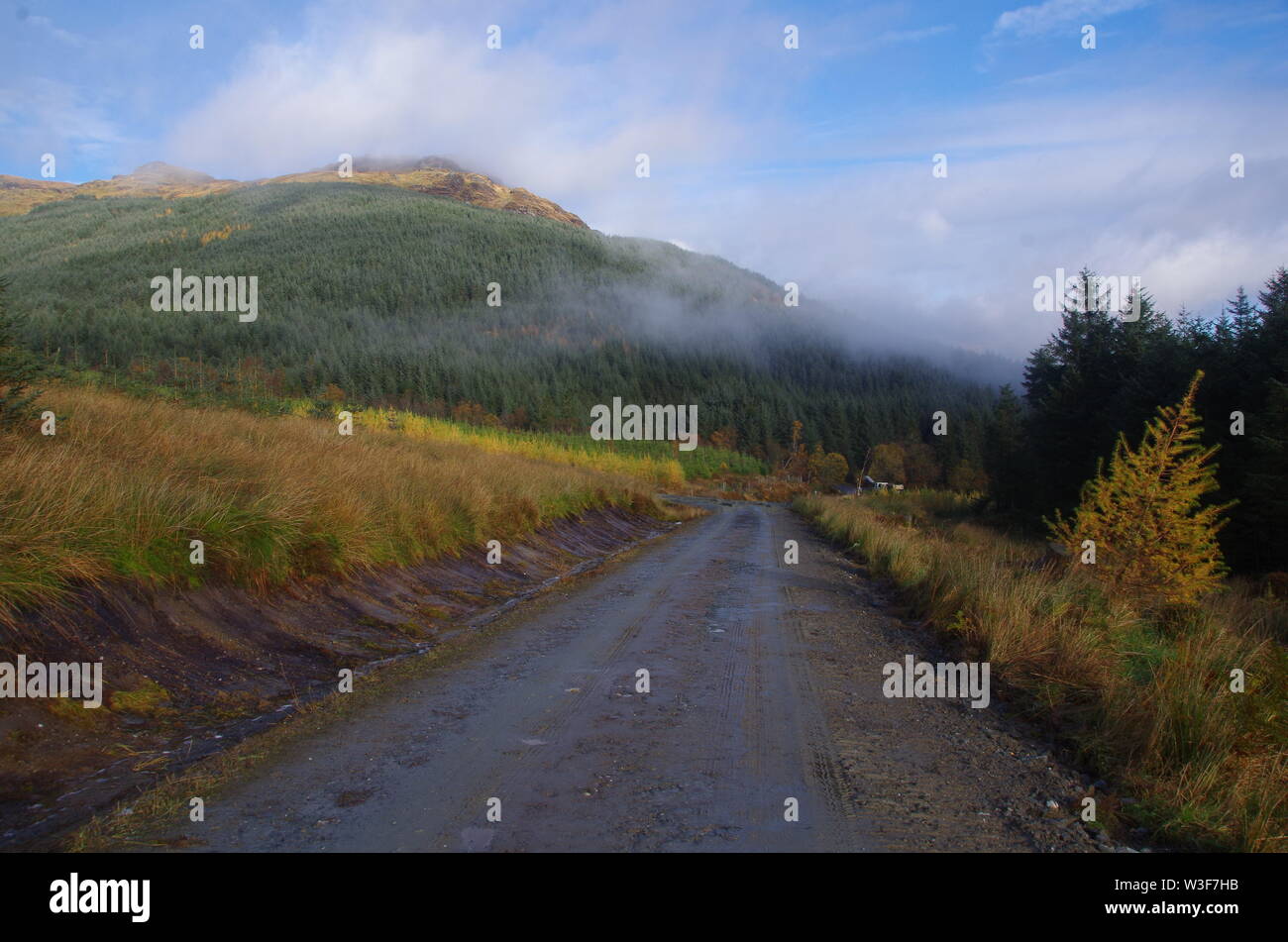 The Loch Lomond and Cowal Way. Cowal peninsula. Highlands. Scotland. UK ...