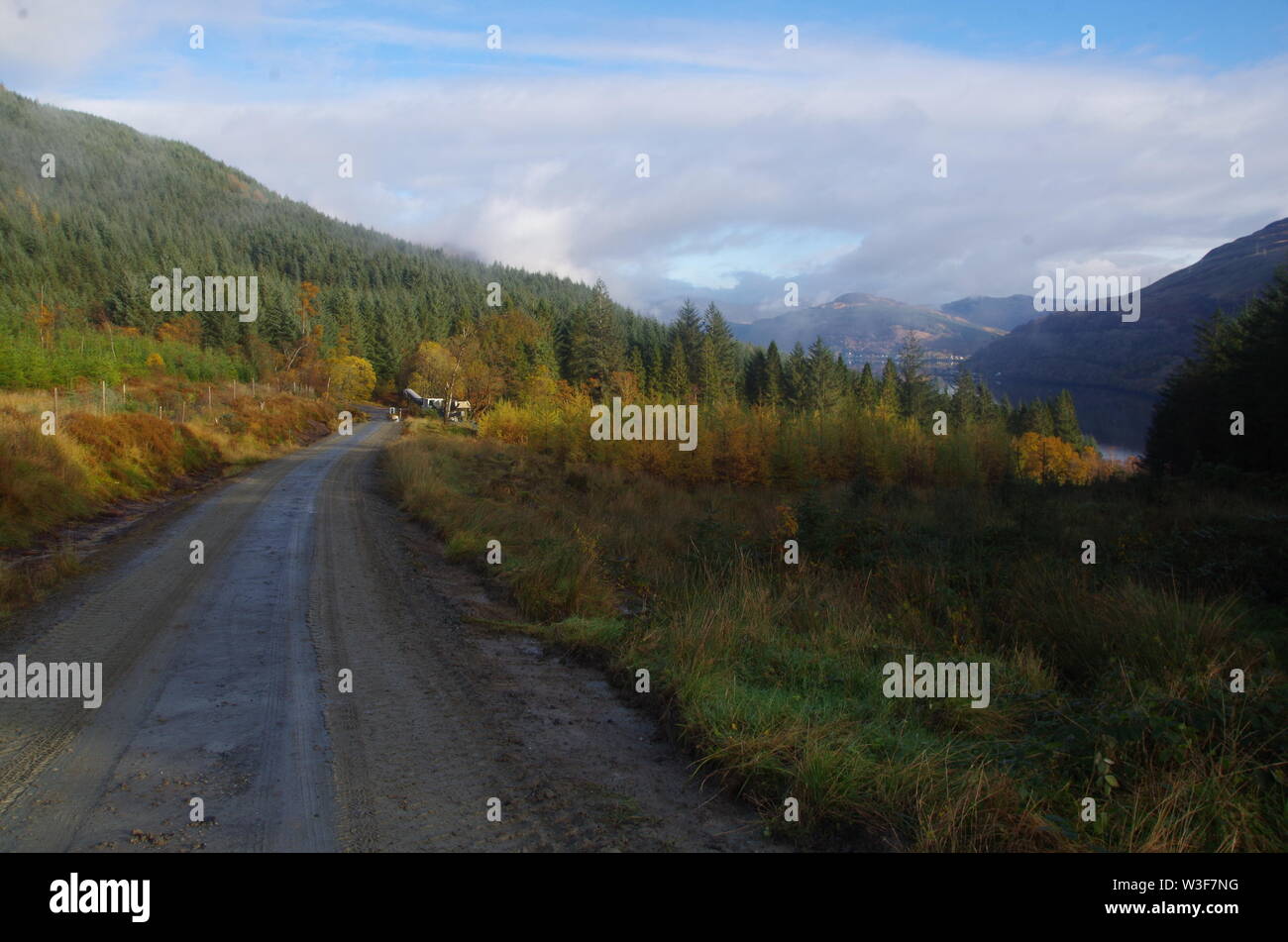 The Loch Lomond and Cowal Way. Cowal peninsula. Highlands. Scotland. UK ...