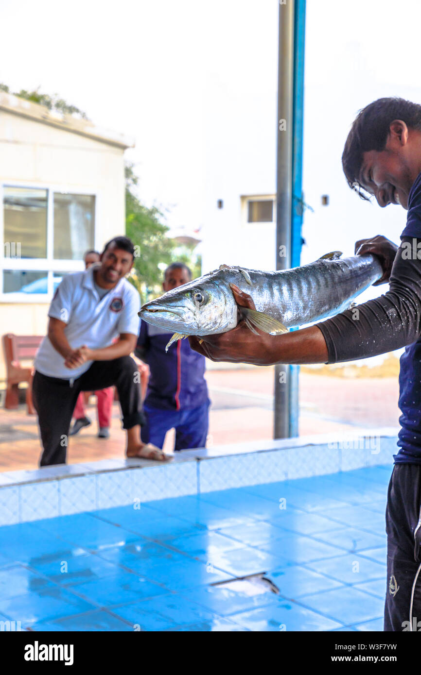 Fishing port in doha hi-res stock photography and images - Alamy