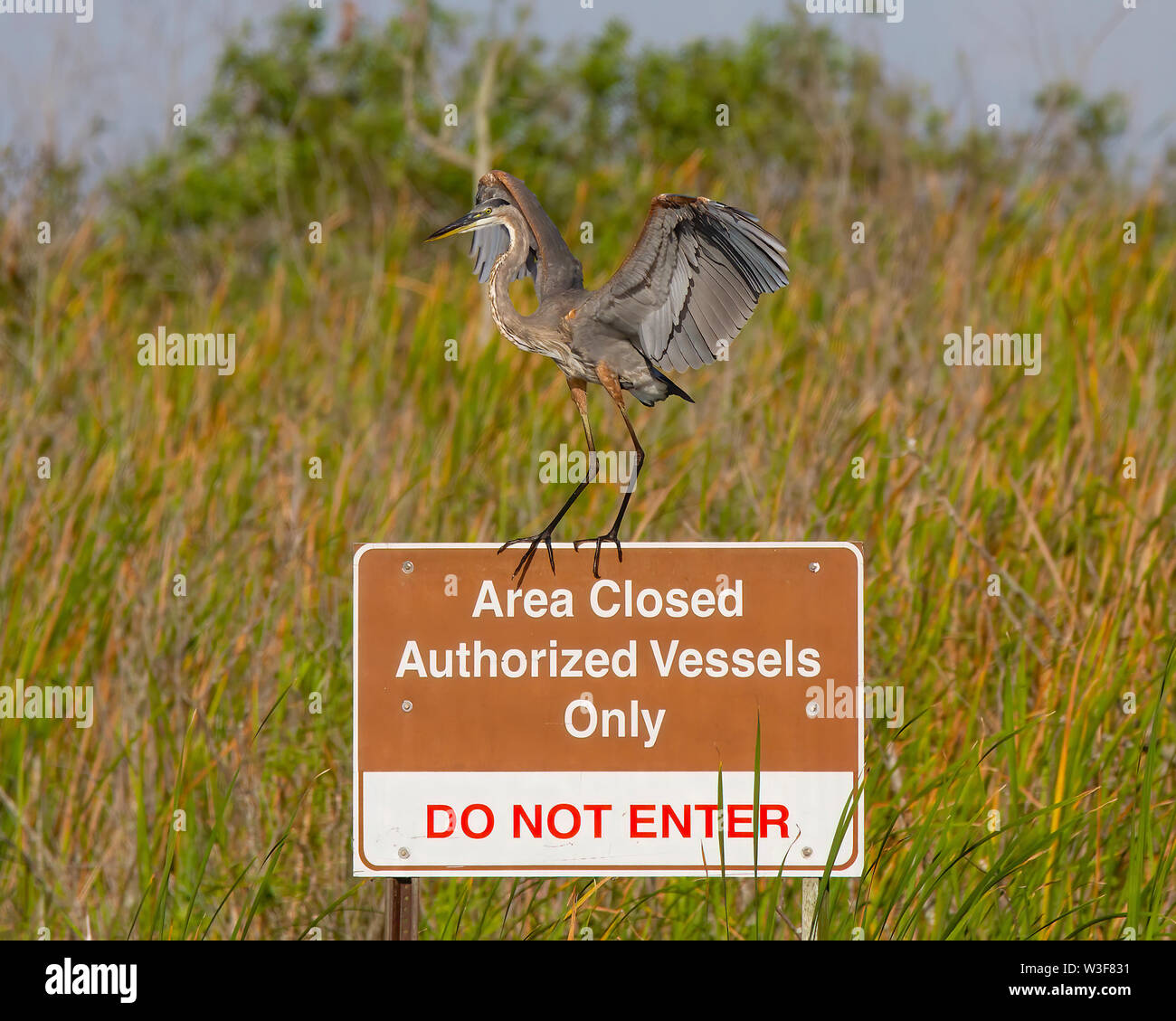 Blue water canoe trail hi-res stock photography and images - Alamy