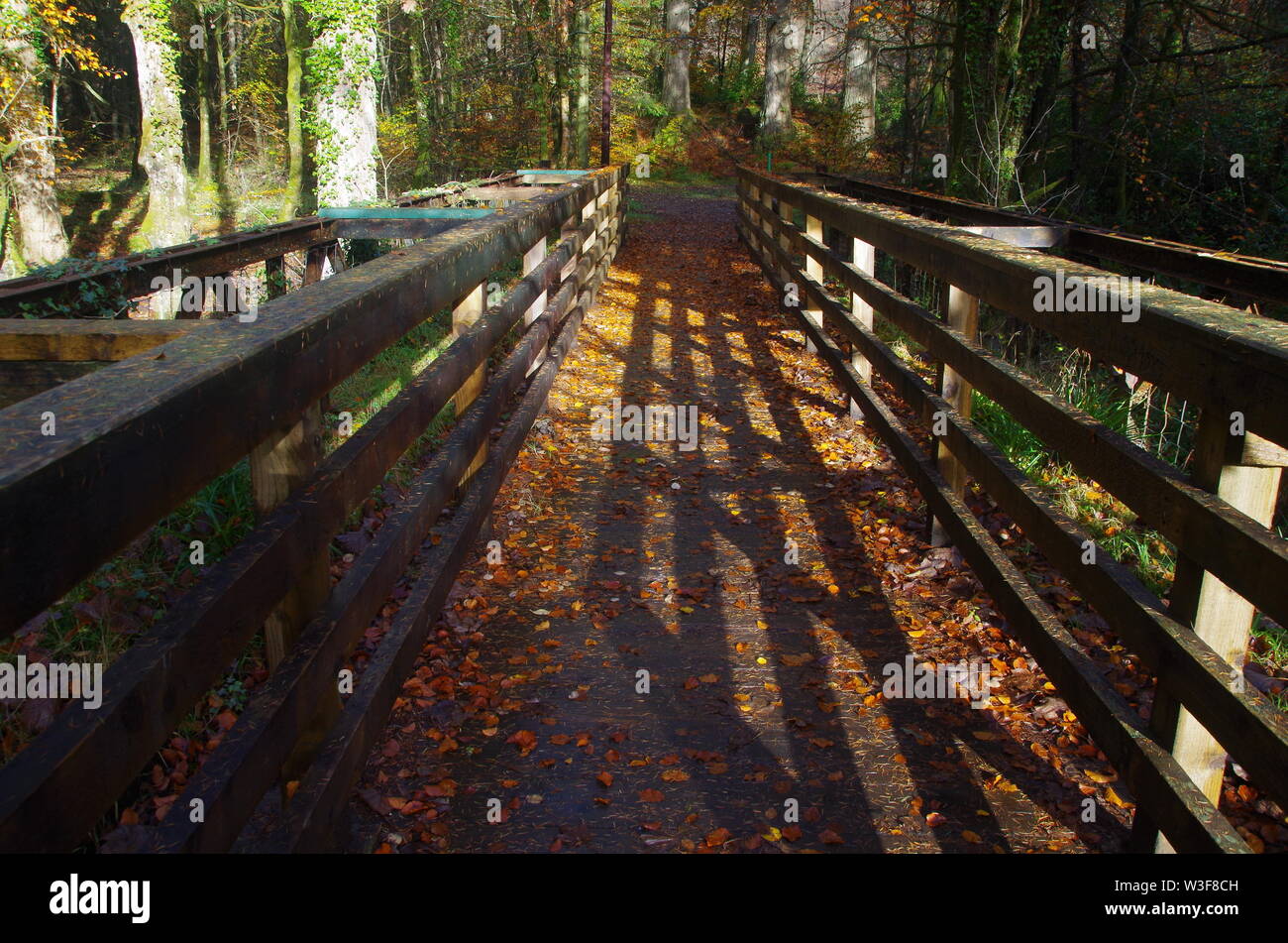 The Loch Lomond and Cowal Way. Cowal peninsula. Highlands. Scotland. UK ...