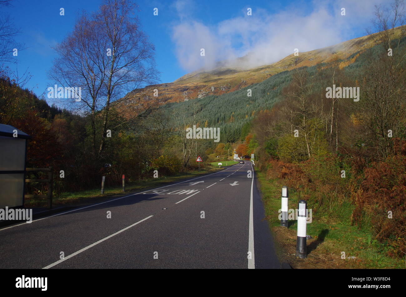 The Loch Lomond and Cowal Way. Cowal peninsula. Highlands. Scotland. UK ...