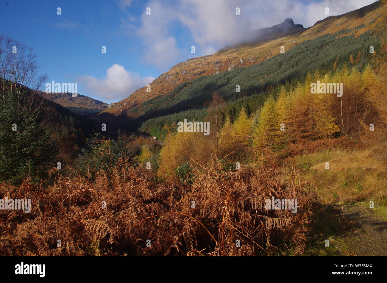 The Loch Lomond and Cowal Way. Cowal peninsula. Highlands. Scotland. UK ...