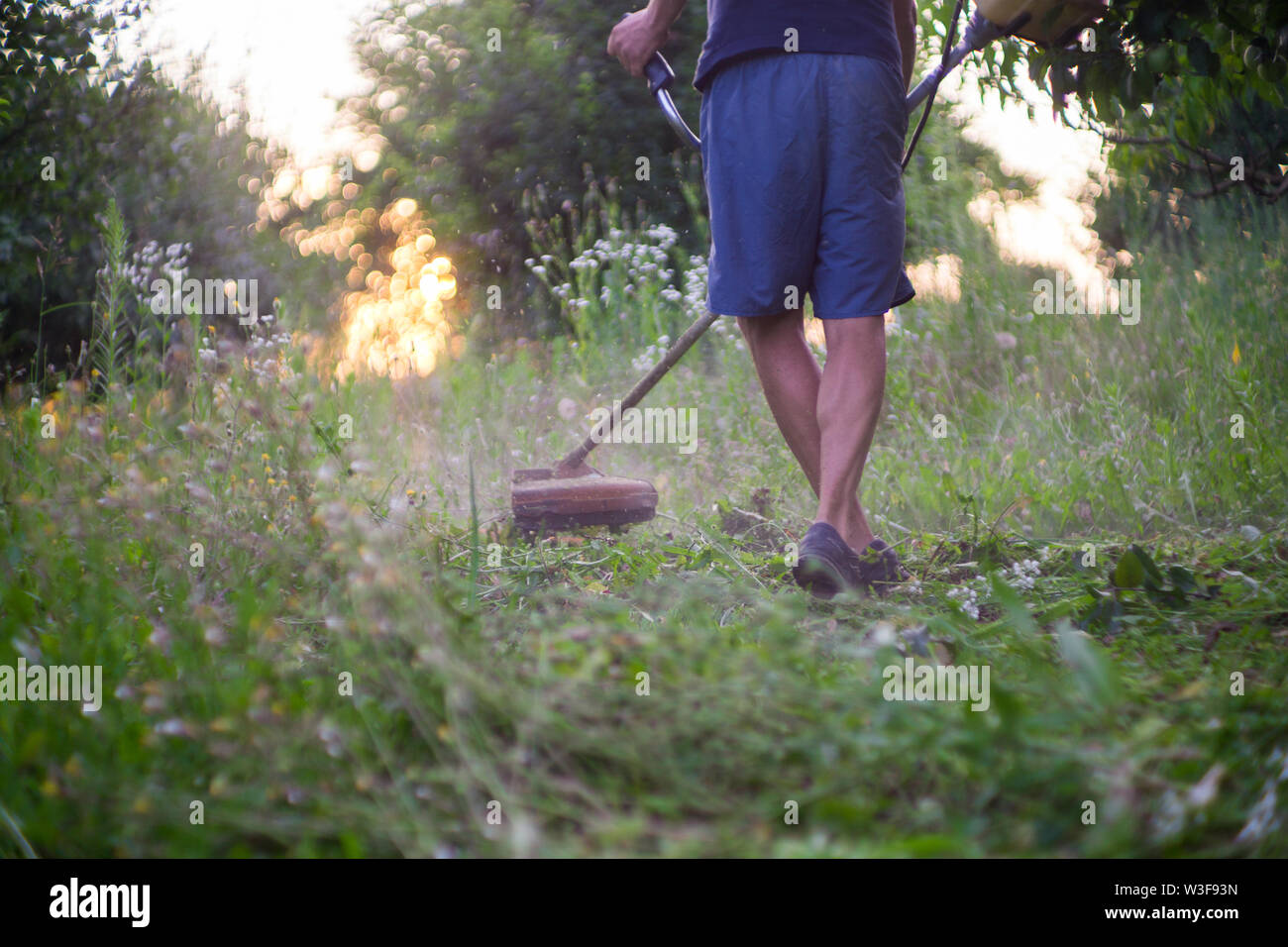 Worker mowing green grass with a trimming machine Stock Photo - Alamy