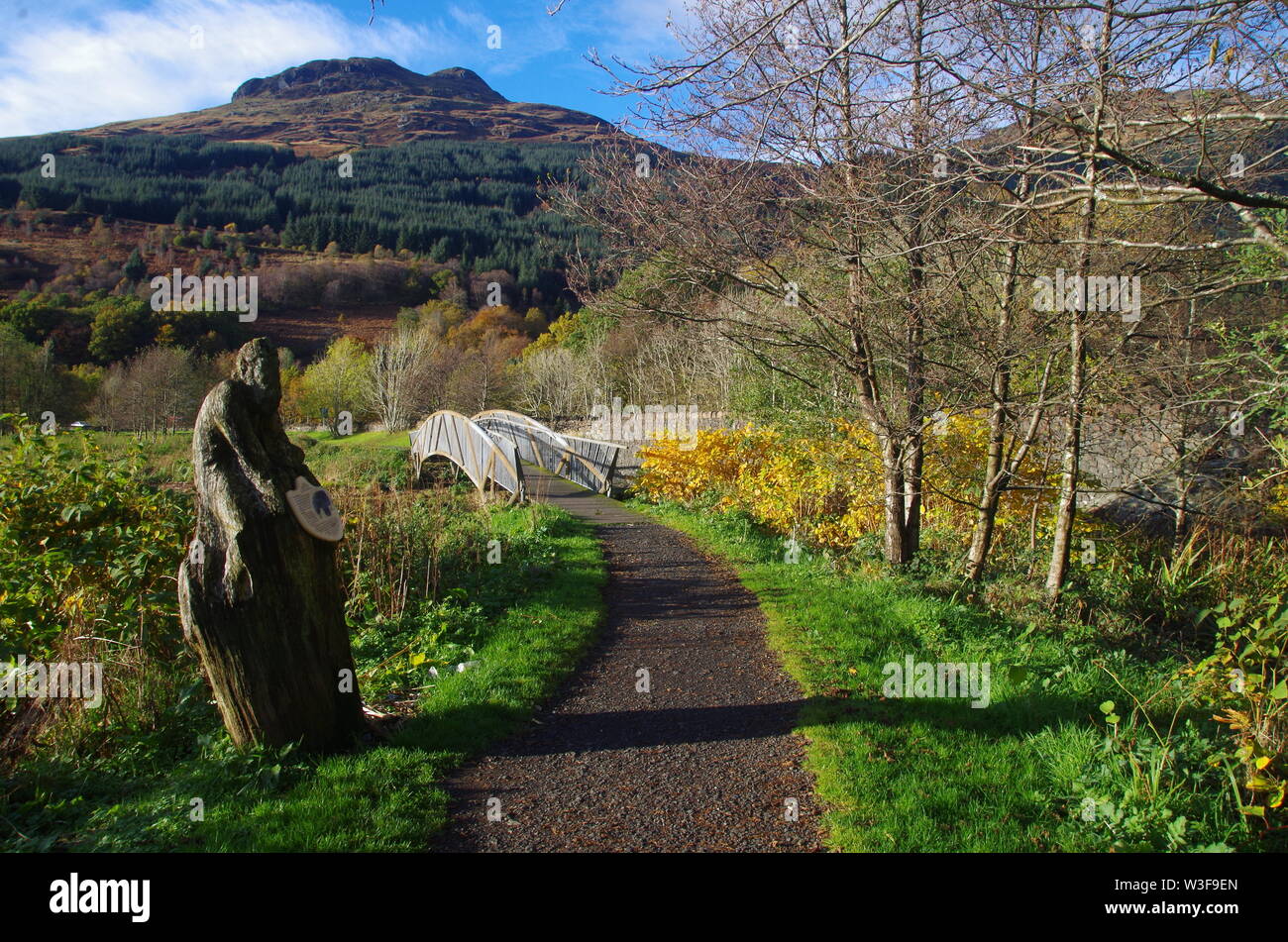 The Loch Lomond and Cowal Way. Cowal peninsula. Highlands. Scotland. UK ...