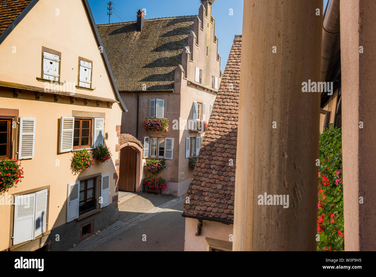 village Mittelbergheim, typical wine village at the Alsace Wine Route ...
