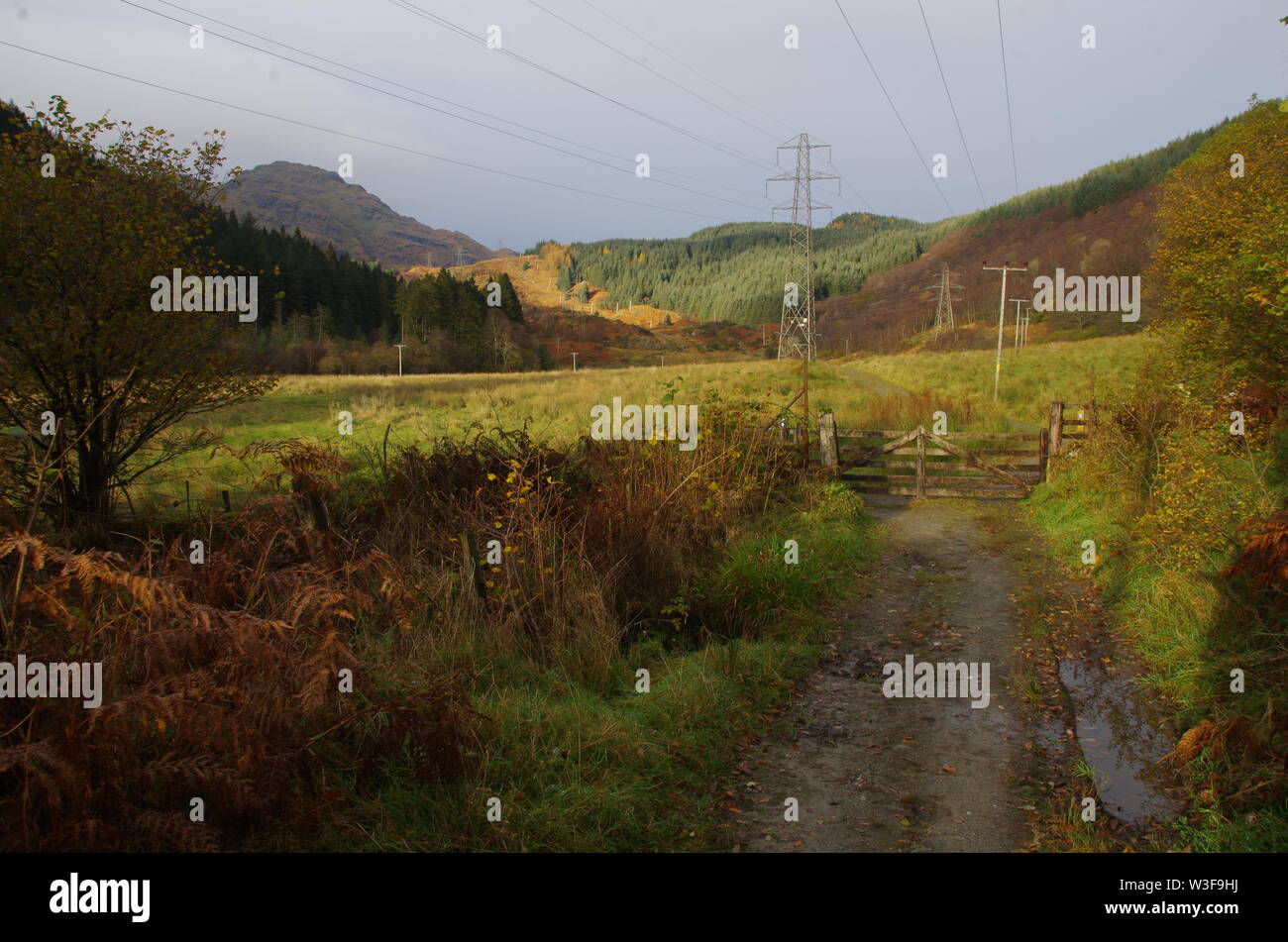 The Loch Lomond and Cowal Way. Cowal peninsula. Highlands. Scotland. UK ...