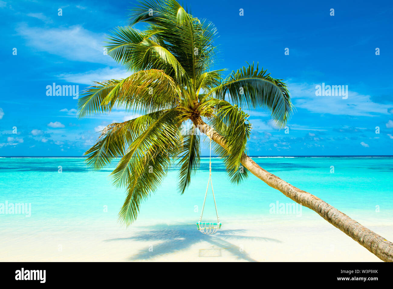 Fallen palm tree with swing on a sandy beach along the turquoise ocean ...