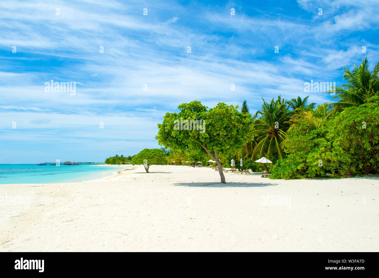 Tree shaded beach hi-res stock photography and images - Alamy
