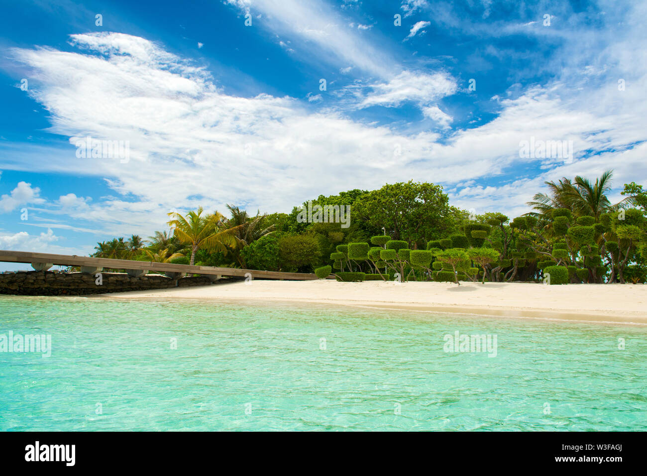 Plant sandy shores hi-res stock photography and images - Alamy
