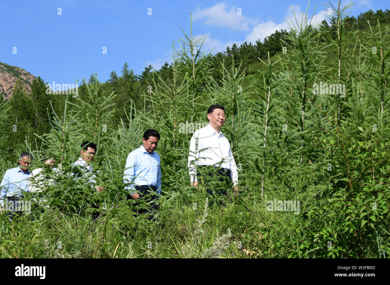 Chifeng, China's Inner Mongolia Autonomous Region. 15th July, 2019 ...
