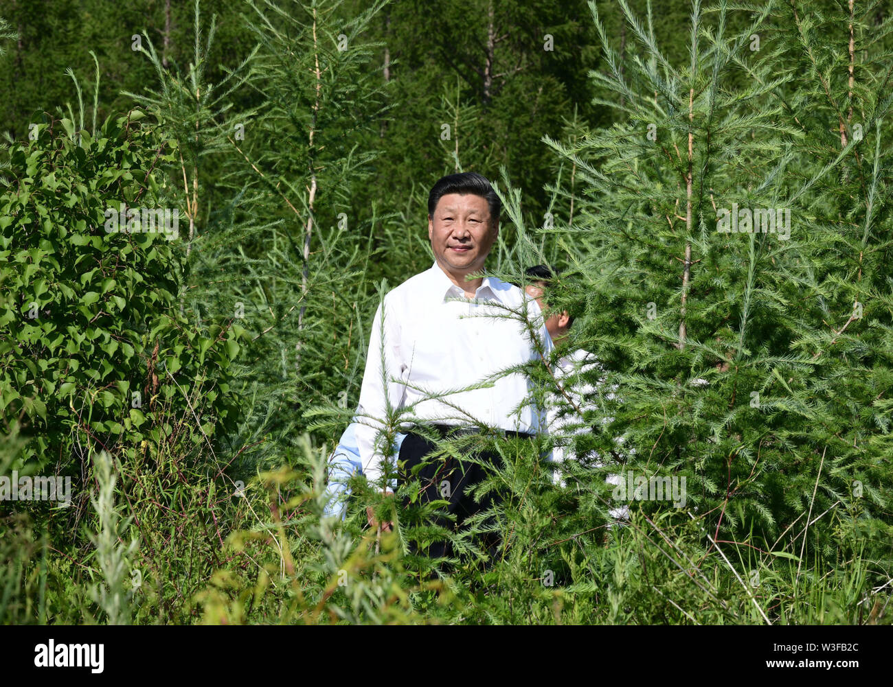 Chifeng, China's Inner Mongolia Autonomous Region. 15th July, 2019 ...