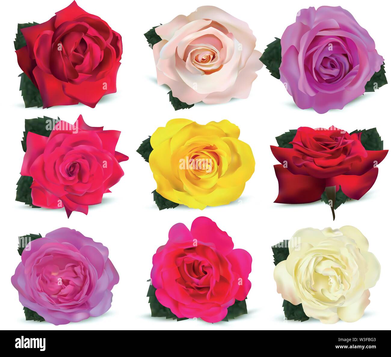 Nine roses Stock Vector Images - Alamy