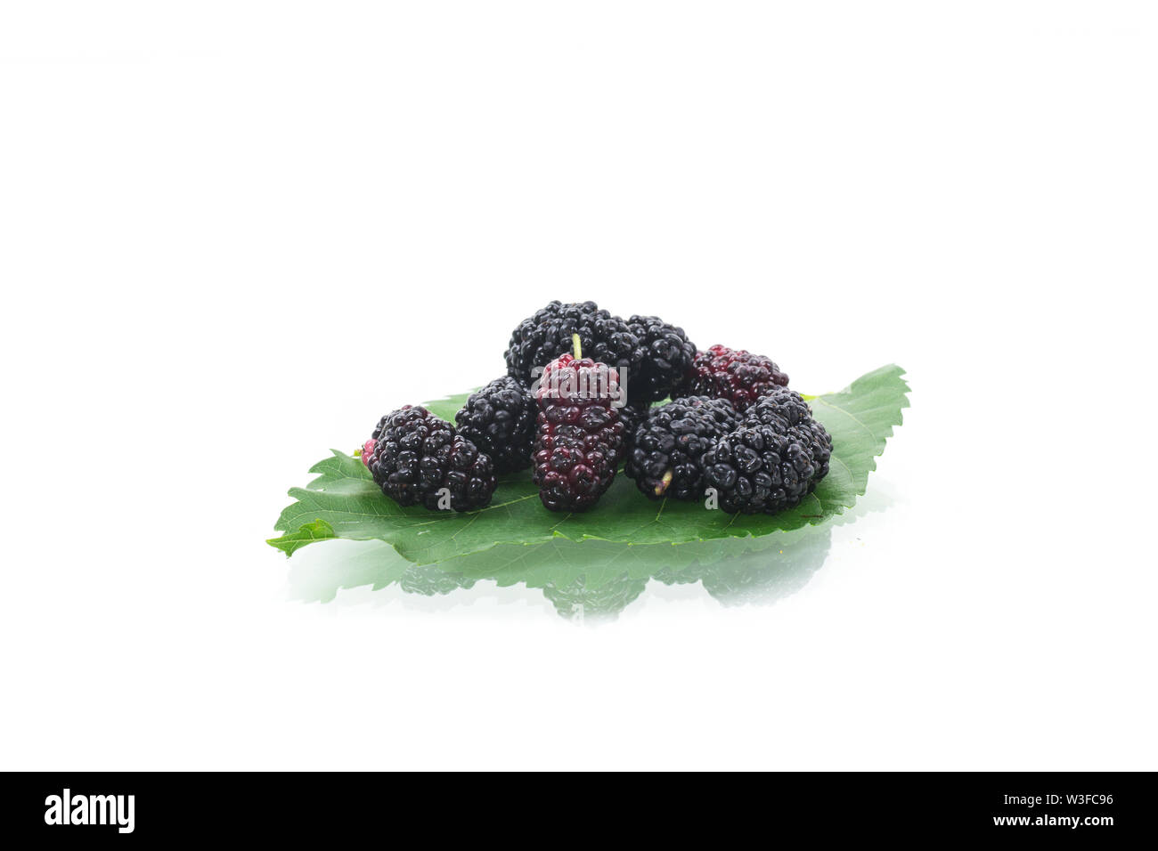 Mulberry berry with leaf isolated on white background Stock Photo - Alamy