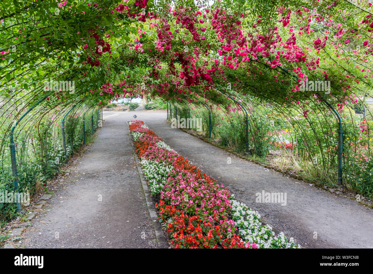 Point defiance rose garden hi-res stock photography and images - Alamy