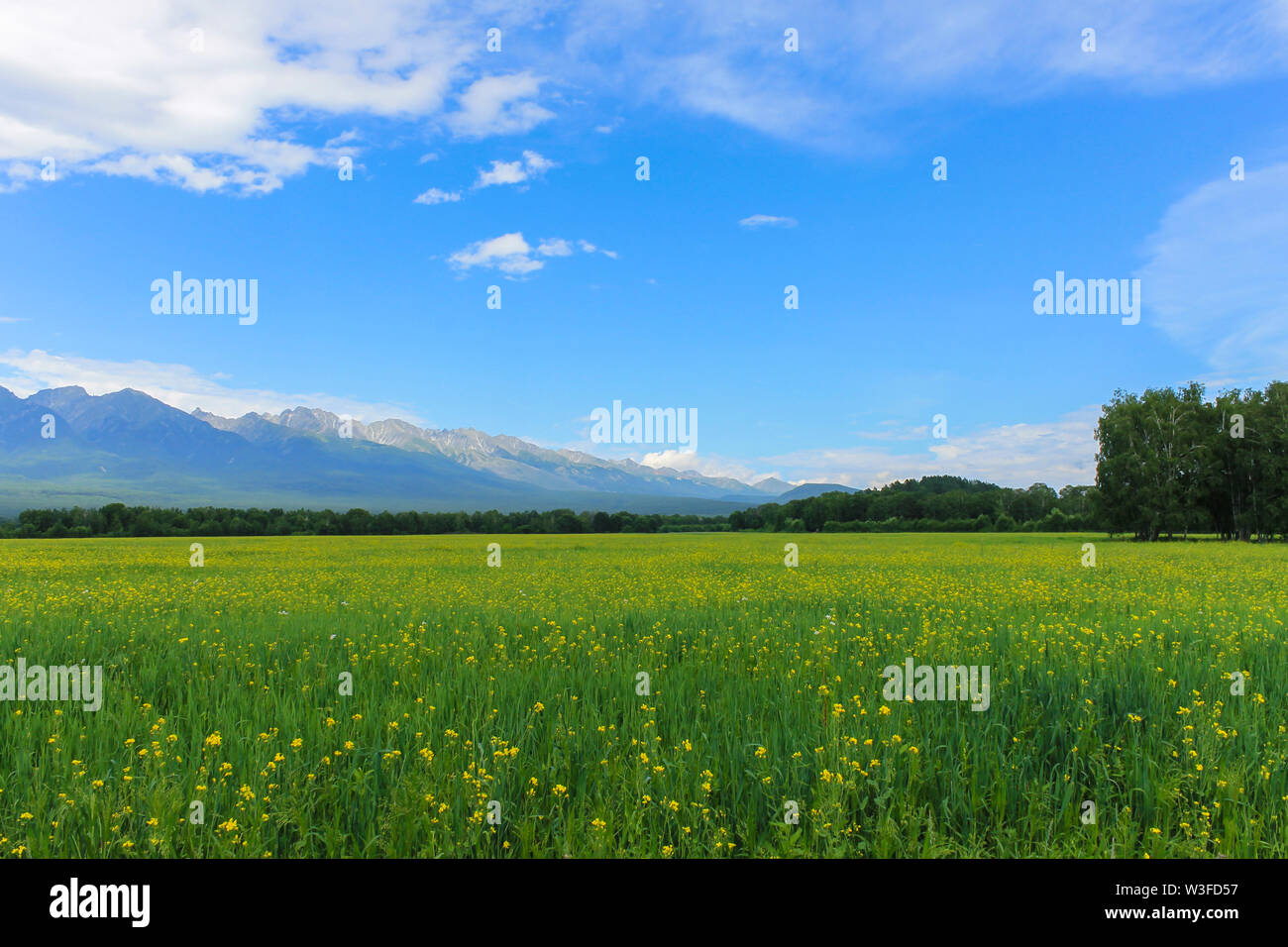 Open spaces of russia hi-res stock photography and images - Alamy