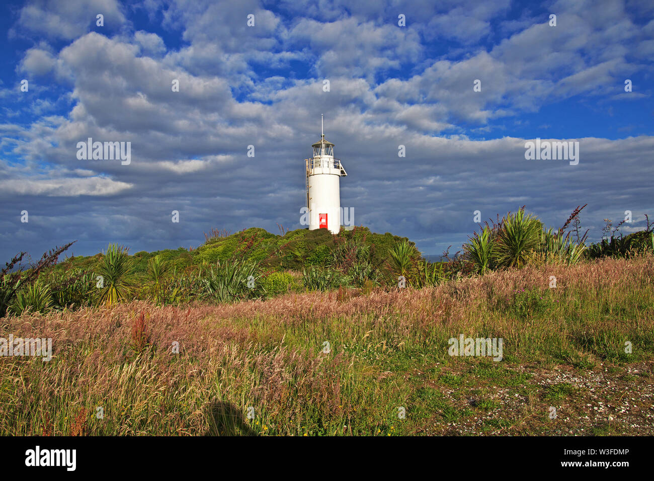 Tasman sea coast on the South island, New Zealand Stock Photo - Alamy