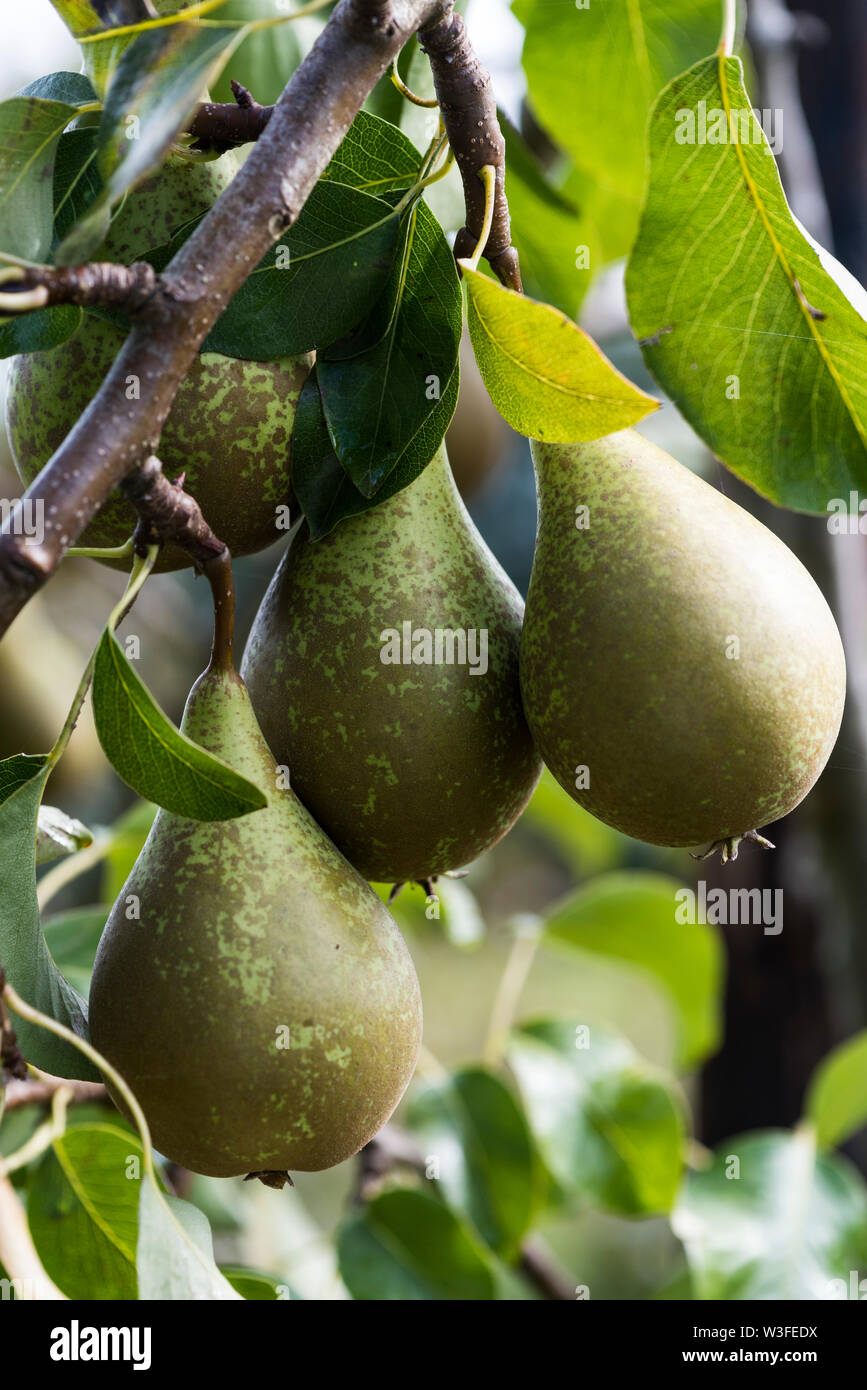 Conference agriculture hi-res stock photography and images - Alamy