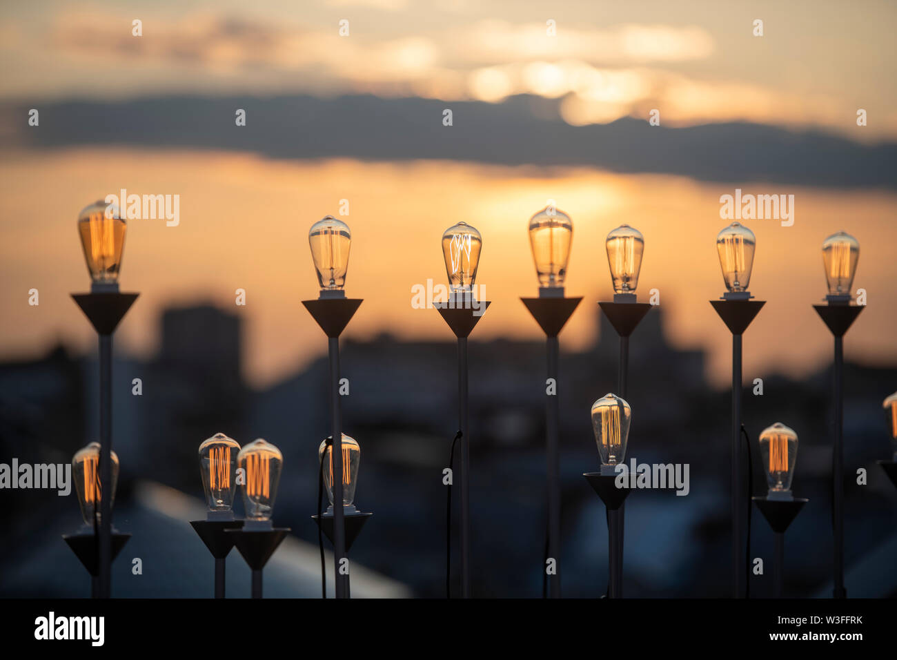 Bulb culture hi-res stock photography and images - Alamy