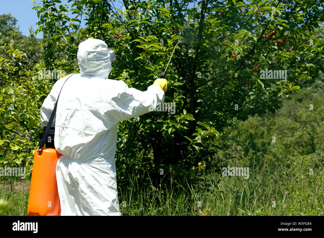 Treating fruit orchard with herbicide, insecticide or pesticide, non ...