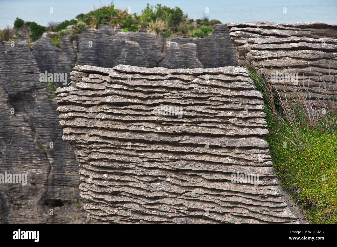 Punakaiki national park on South island, New Zealand Stock Photo - Alamy