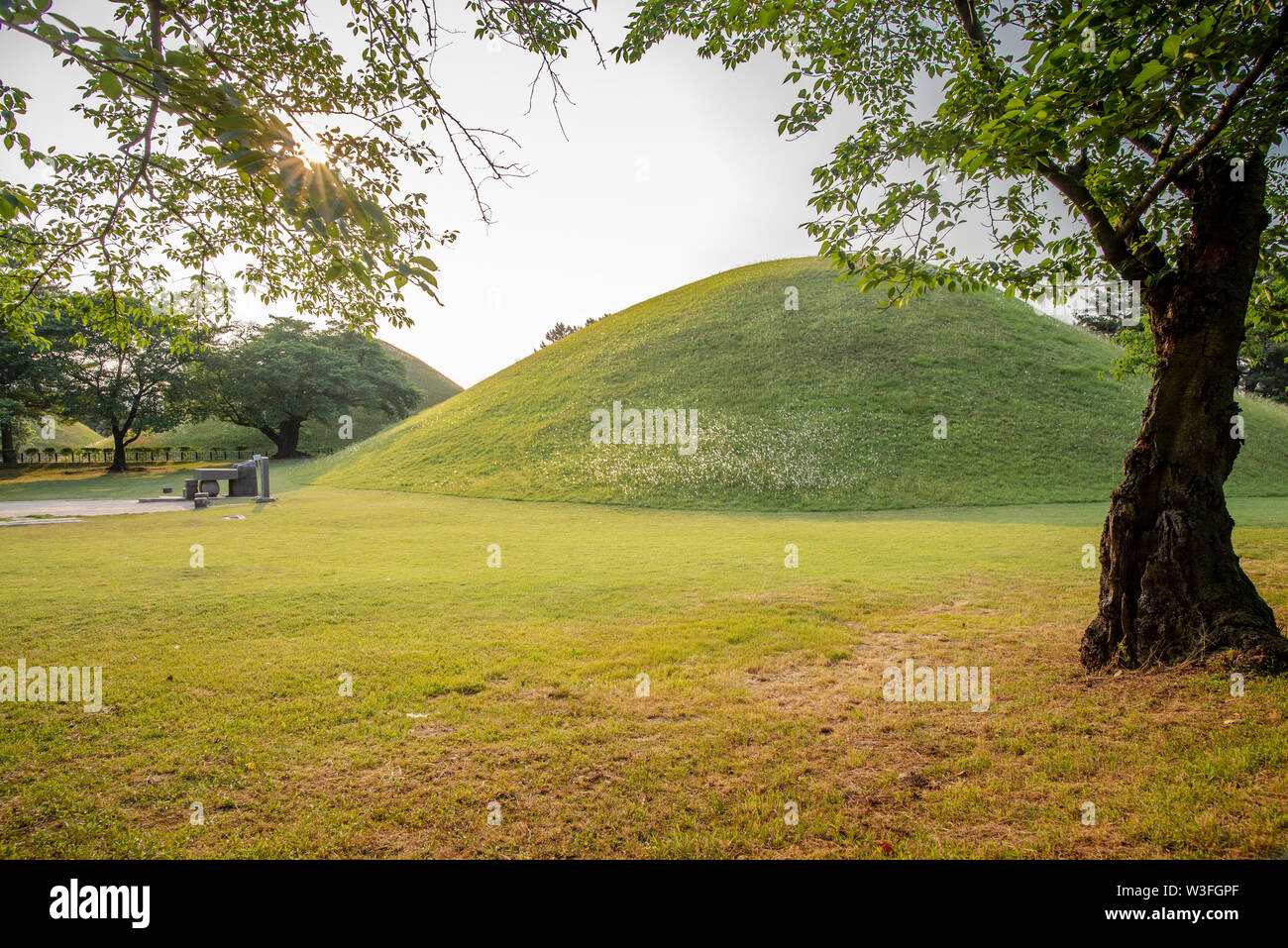 Famous rays hi-res stock photography and images - Alamy