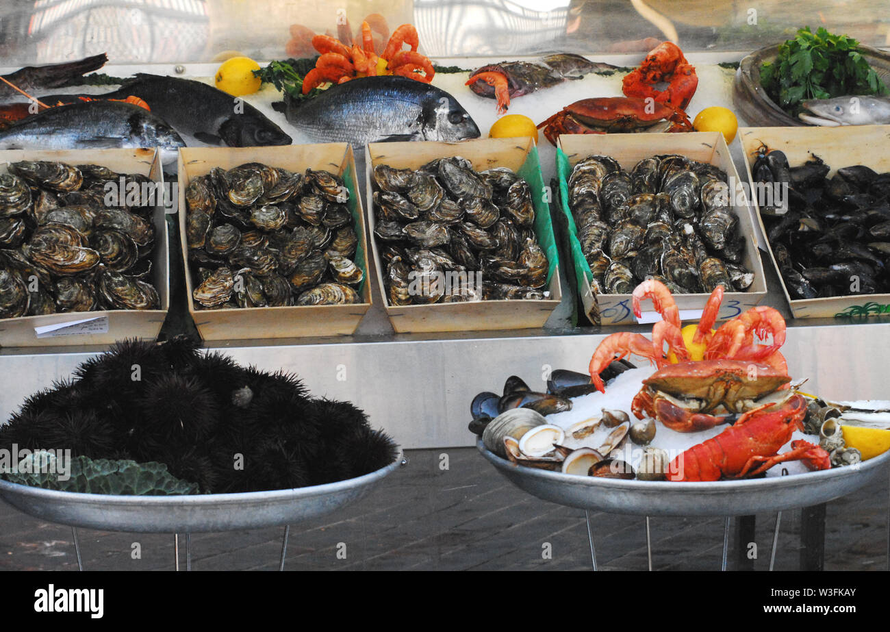 A wonderful presentation of colorful gourmet seafood at the market in ...