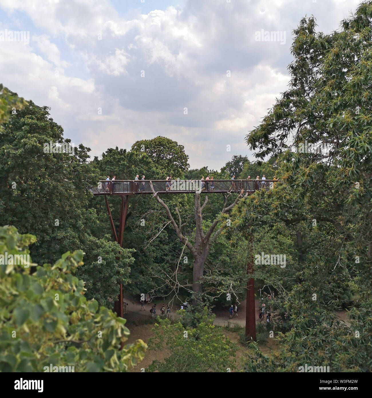 Treetop walk uk hi-res stock photography and images - Alamy