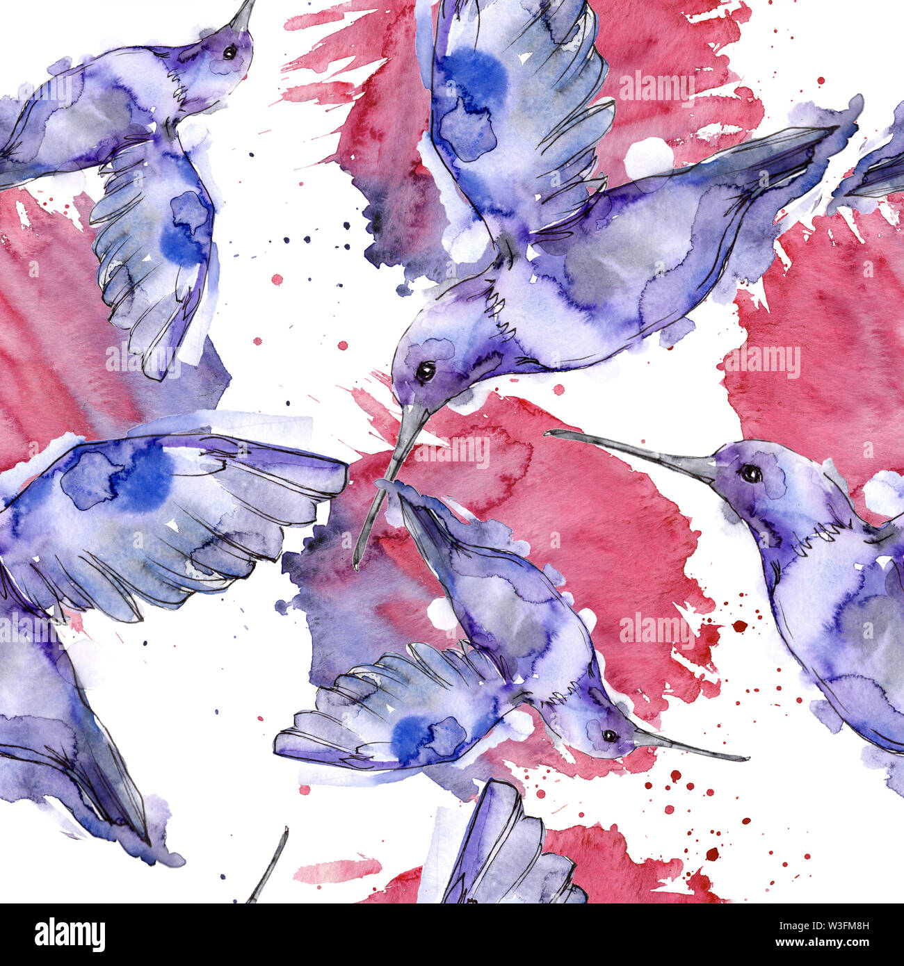 Sky bird colibri in a wildlife isolated. Watercolor background ...