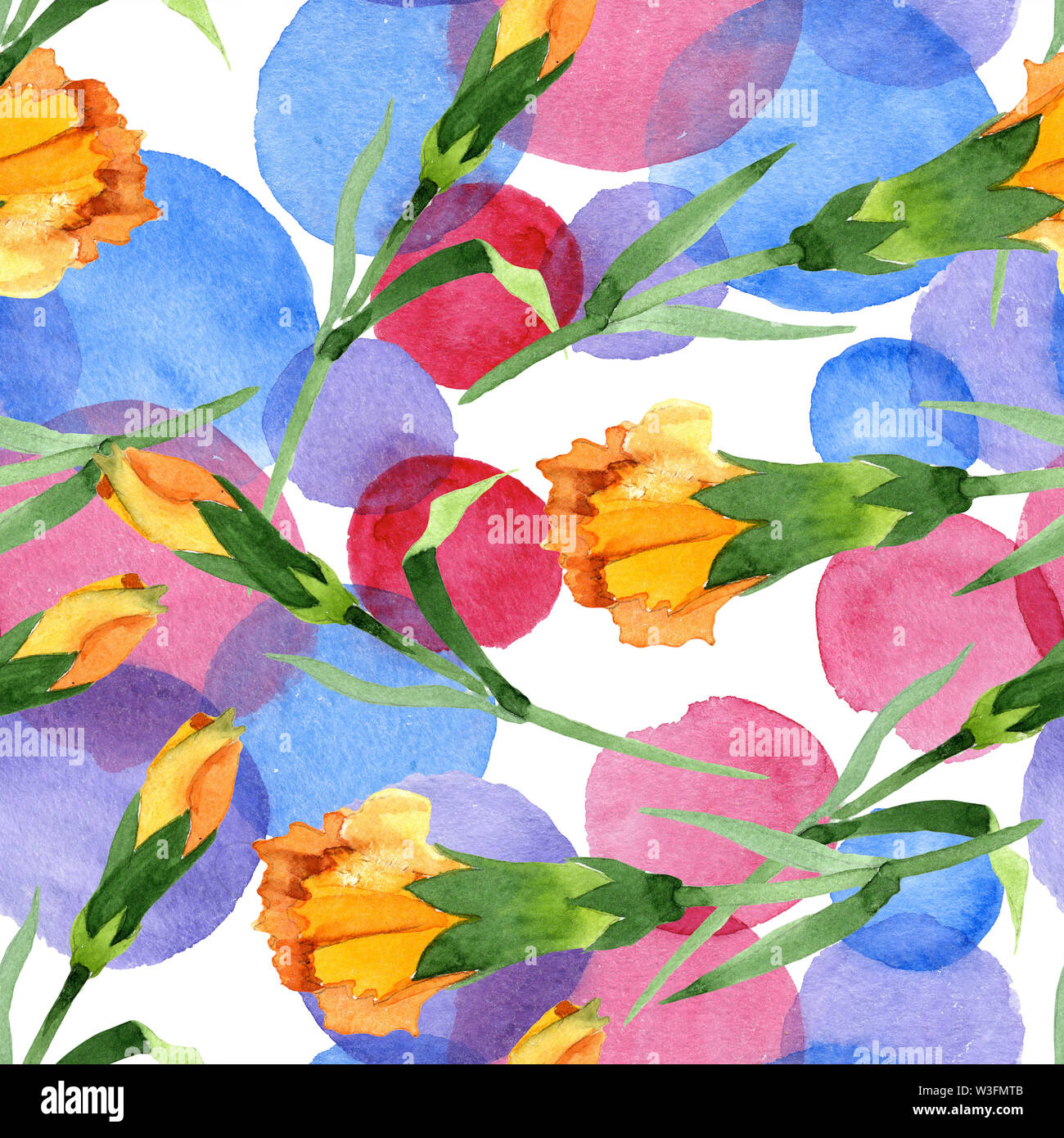 Yellow dianthus floral botanical flowers. Watercolor background ...