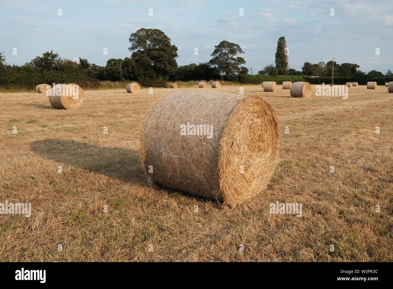 Hay Making, Big Round Bales Cheshire Farm Stock Photo - Alamy