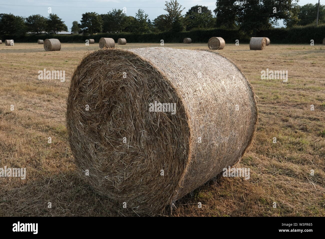 Hay Making, Big Round Bales Cheshire Farm Stock Photo - Alamy