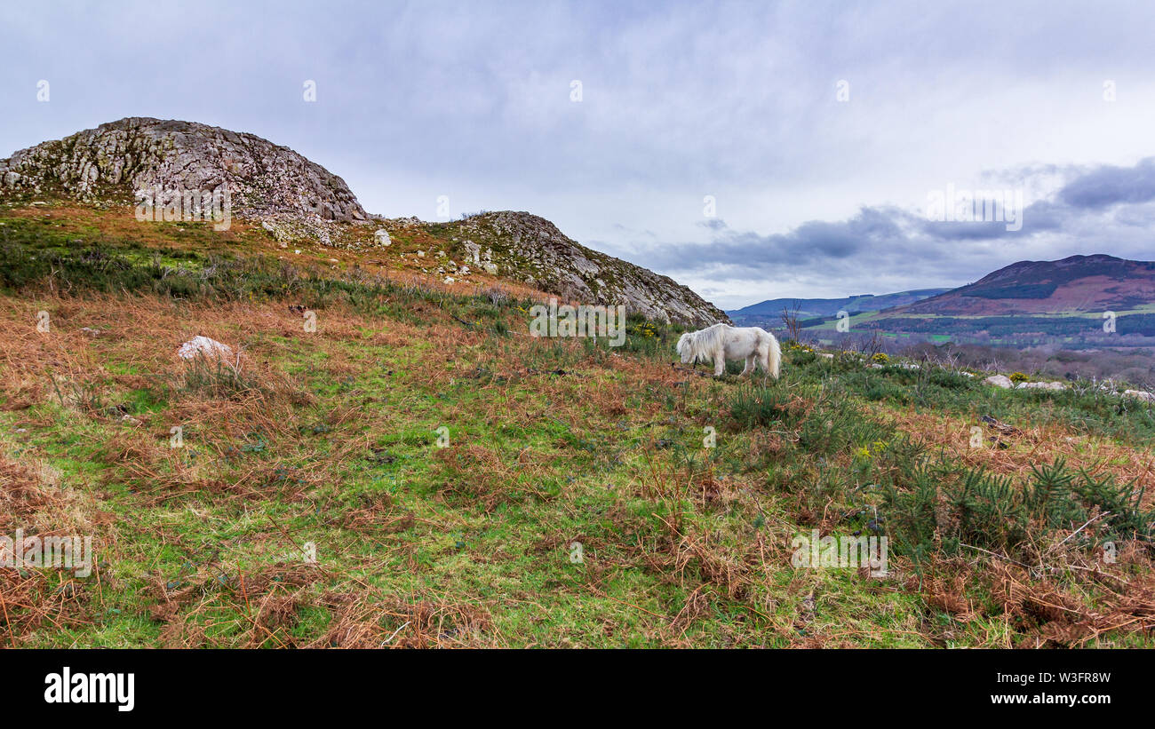 Bray head ireland hi-res stock photography and images - Alamy