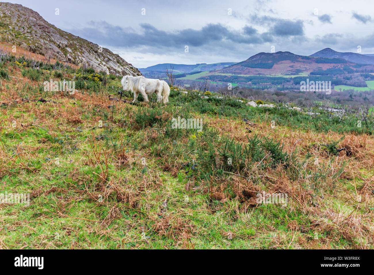 Bray village hi-res stock photography and images - Alamy