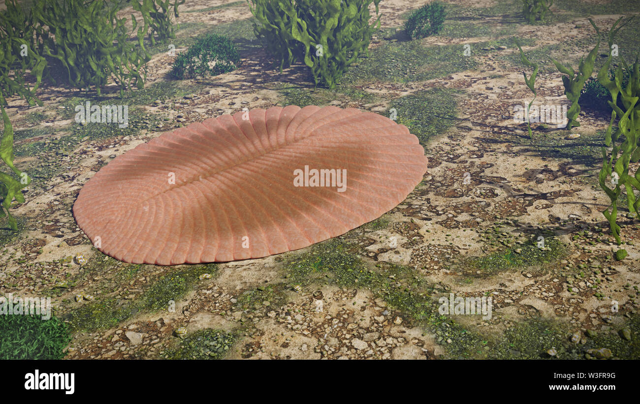 Extinct animals hi-res stock photography and images - Alamy