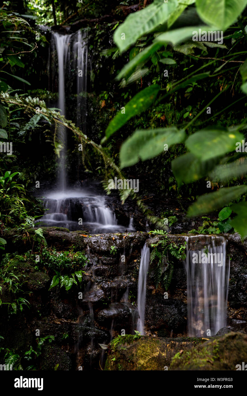 A beautiful small waterfall in the amazon forest of South America Stock ...