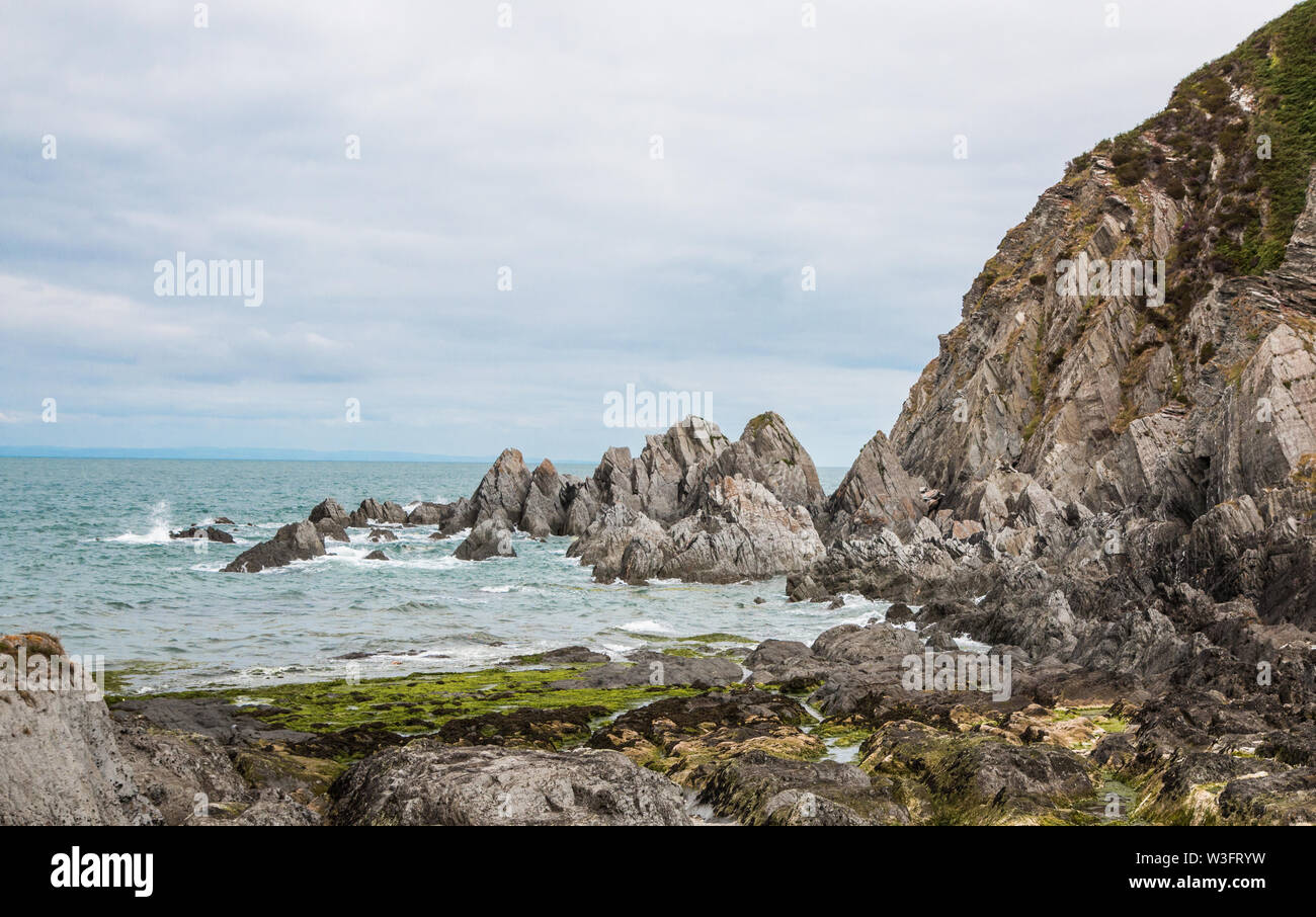 South coast path north Devon Stock Photo - Alamy